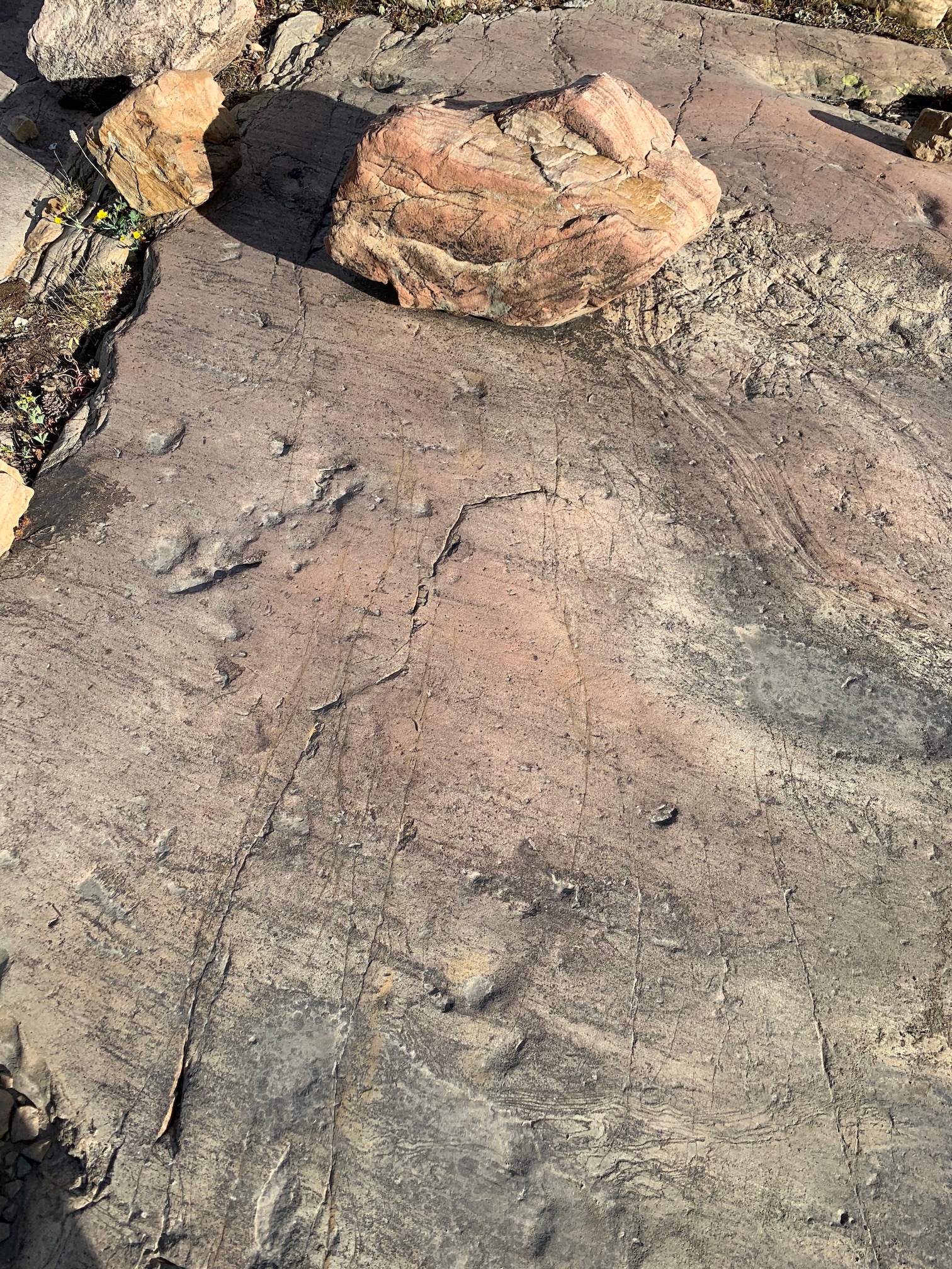 walk on rock – Constructing Physical Science